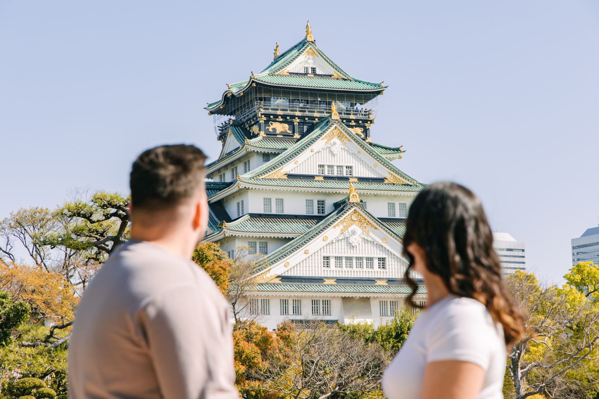 Surprise proposal shooting with Cherry blossoms in full bloom ...