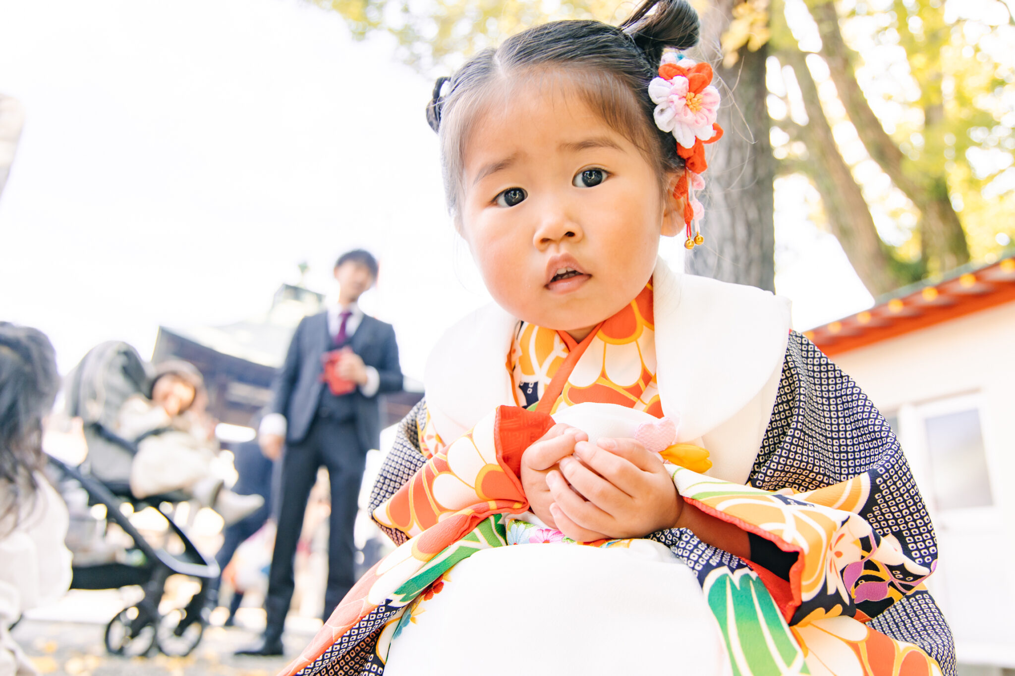 Photos shooting with Autumn leaves in Osaka | Photoguider-Japan