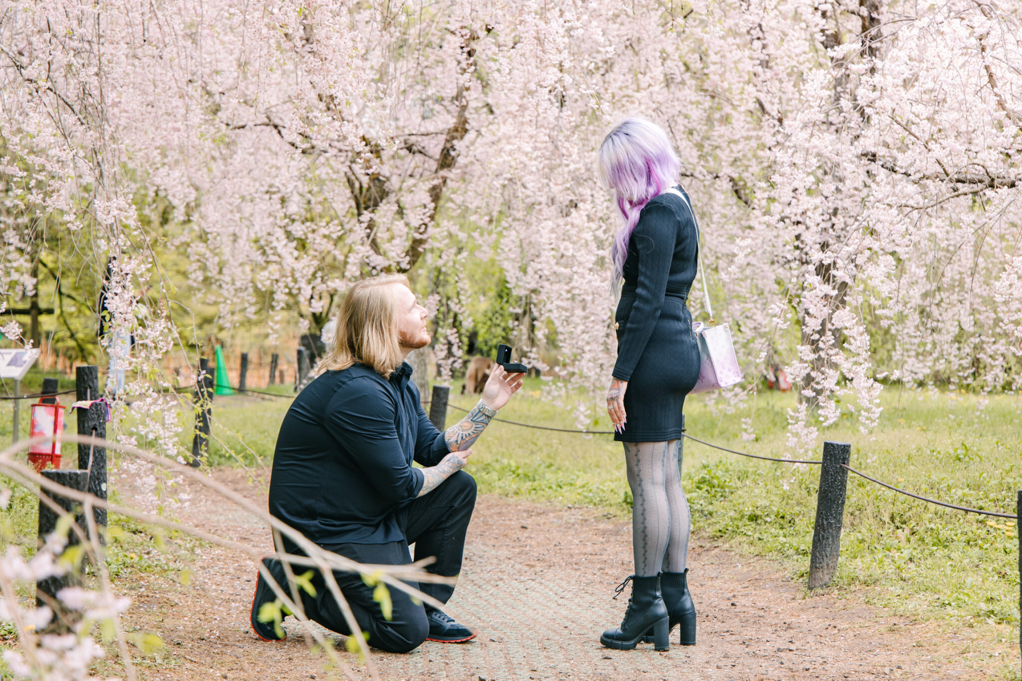 Surprise proposal photoshooting in Kyoto Botanical Garden ...