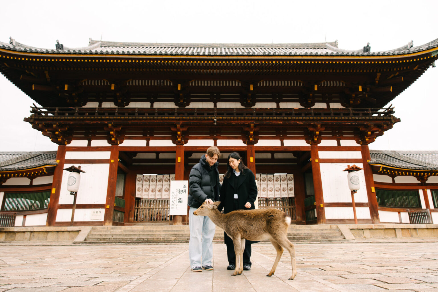 Family Photoshoot in Nara Park and Gion Kyoto: A Fun Two-Day ...